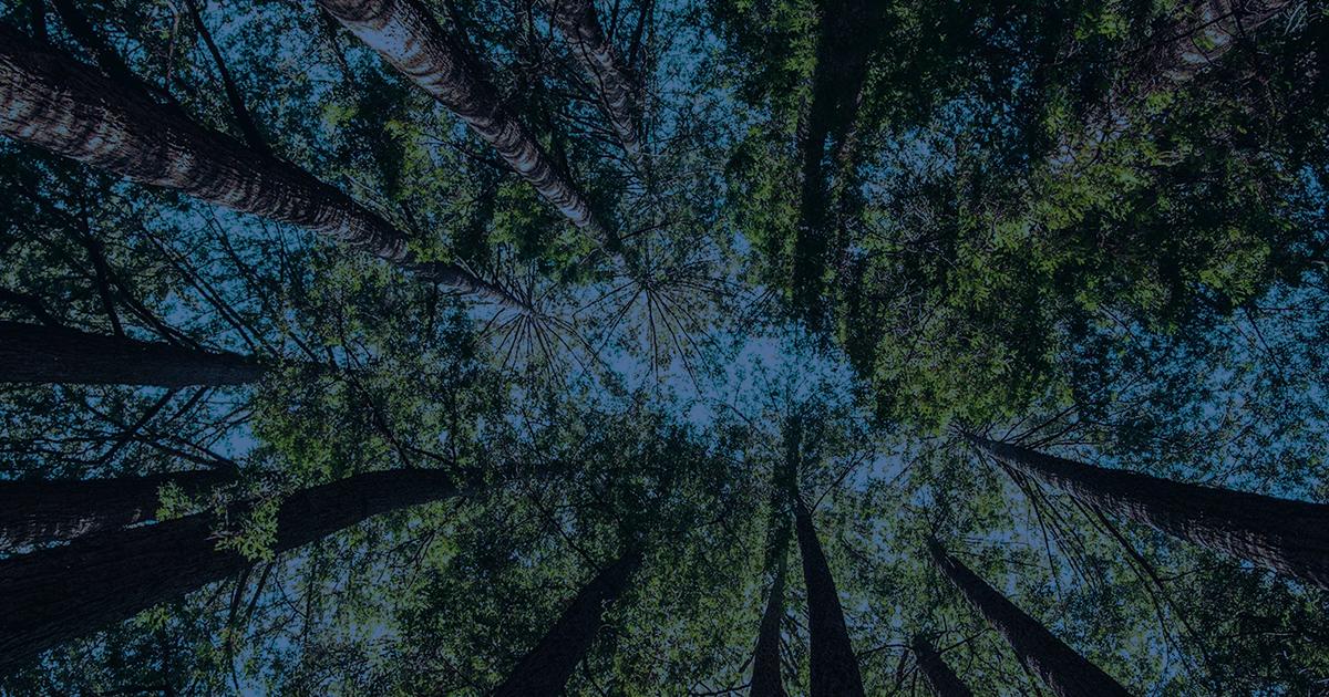 Sustainable investment - Optimum Global Asset Management (Optimum Asset ...